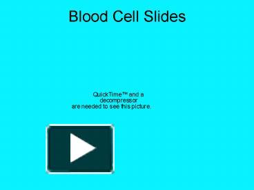 Blood Cell Slides presentation | free to view