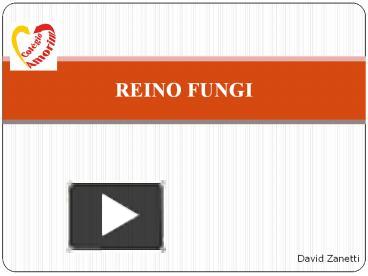 REINO FUNGI presentation | free to view