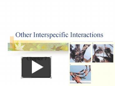 PPT – Other Interspecific Interactions PowerPoint presentation | free ...