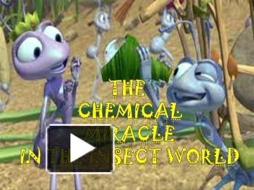 PPT – THE CHEMICAL MIRACLE IN THE INSECT WORLD PowerPoint presentation ...