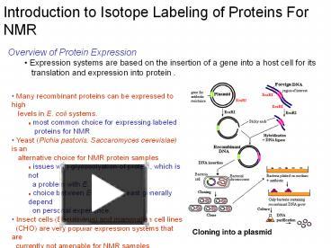 Overview of Protein Expression presentation | free to download