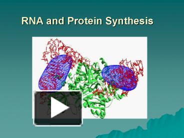 PPT – RNA and Protein Synthesis PowerPoint presentation | free to ...