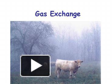 PPT – Gas Exchange PowerPoint presentation | free to view - id: 6c7ec-ZDc1Z