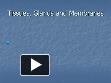 Tissues, Glands and Membranes presentation | free to view