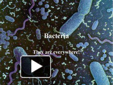 PPT – Bacteria PowerPoint presentation | free to download - id: 6c95e7 ...