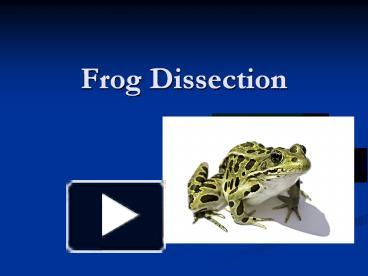 PPT – Frog Dissection PowerPoint presentation | free to download - id ...