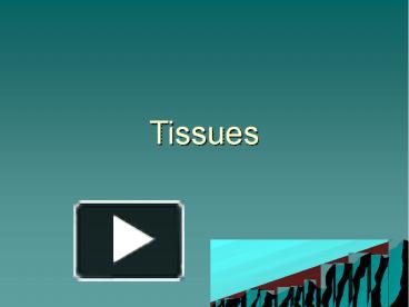 PPT – Tissues PowerPoint presentation | free to download - id: 6ce804-MDVmZ