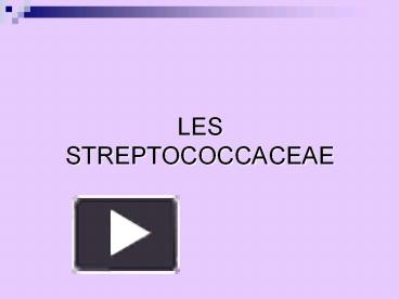 PPT – Les Streptococcus PowerPoint presentation | free to download - id ...
