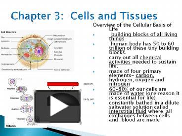 PPT – Overview of the Cellular Basis of Life PowerPoint presentation ...