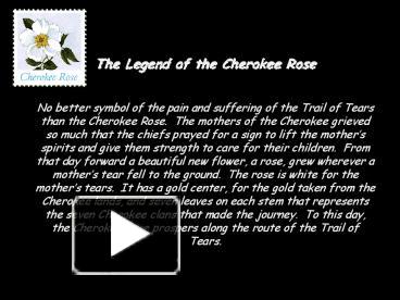 The Legend of the Cherokee Rose No better symbol of the pain and ...