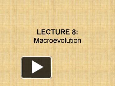 LECTURE 8: Macroevolution presentation | free to download