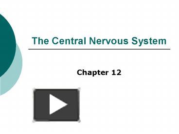 PPT – The Central Nervous System PowerPoint presentation | free to view ...