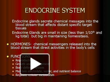 PPT – ENDOCRINE SYSTEM PowerPoint presentation | free to download - id ...