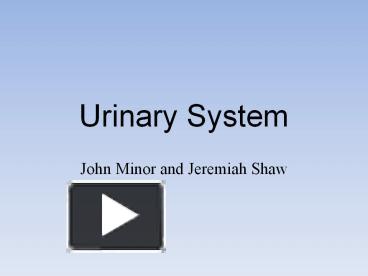 PPT – Urinary System PowerPoint presentation | free to download - id ...