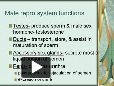 Male repro system functions presentation | free to view
