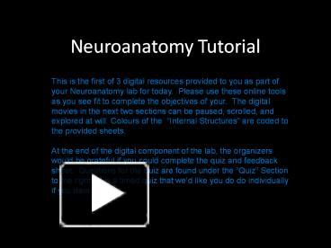 Neuroanatomy Tutorial presentation | free to download