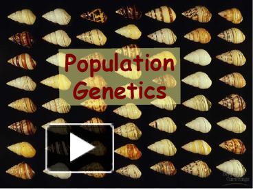 PPT – Population Genetics PowerPoint presentation | free to view - id ...