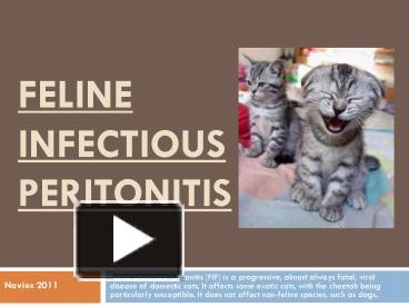 Feline Infectious Peritonitis presentation | free to download