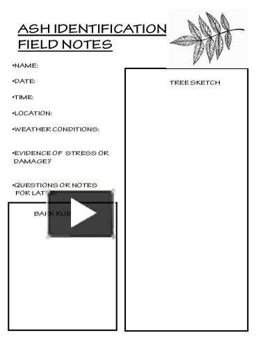 PPT – ASH IDENTIFICATION FIELD NOTES PowerPoint presentation | free to ...