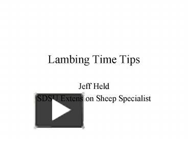 Lambing Time Tips presentation | free to view
