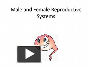 Male and Female Reproductive Systems presentation | free to view