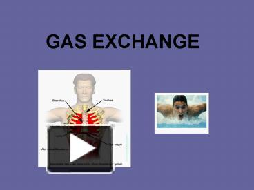 GAS EXCHANGE presentation | free to view