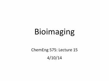 Bioimaging presentation | free to download