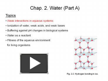 Lehninger Principles of Biochemistry presentation | free to download