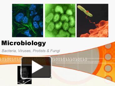 PPT – Microbiology PowerPoint presentation | free to download - id ...