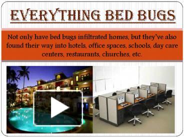 Everything Bed Bugs presentation | free to download
