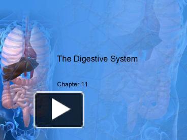 The Digestive System presentation | free to download