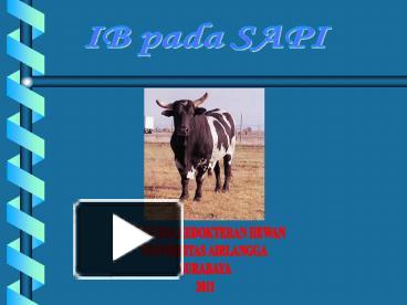IB pada SAPI presentation | free to view