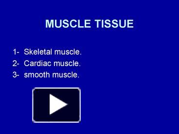 MUSCLE TISSUE presentation | free to view