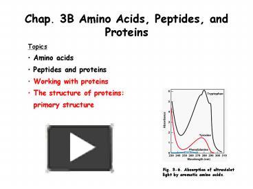 PPT – Chap. 3B Amino Acids, Peptides, and Proteins PowerPoint ...