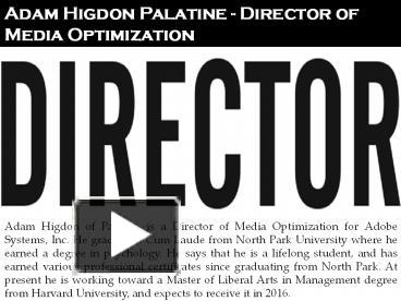 Adam Higdon Palatine - Director of Media Optimization presentation ...