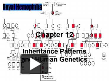 Inheritance Patterns and Human Genetics presentation | free to download