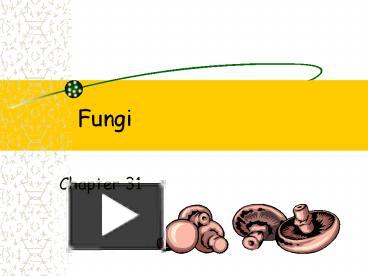 Fungi presentation | free to download