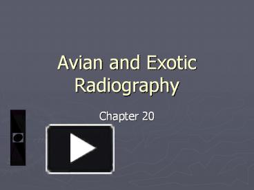 PPT – Avian and Exotic Radiography PowerPoint presentation | free to ...