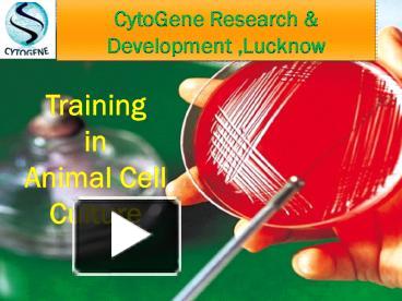 PPT – Training in animal cell culture in U.P PowerPoint presentation ...