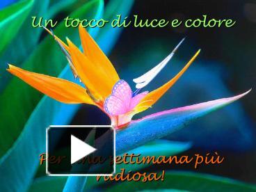 PPT – Un toque de luz y color PowerPoint presentation | free to ...