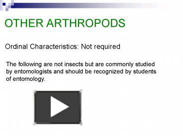 PPT – OTHER ARTHROPODS PowerPoint presentation | free to download - id ...