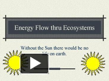 PPT – Energy Flow thru Ecosystems PowerPoint presentation | free to ...