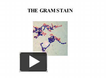 THE GRAM STAIN presentation | free to download