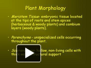 Plant Morphology presentation | free to view
