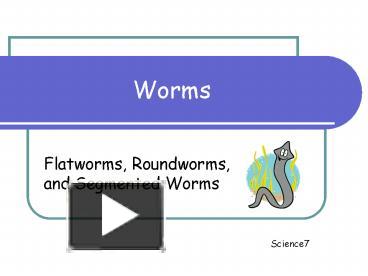 PPT – Worms PowerPoint presentation | free to view - id: 6fa3da-NmRiZ