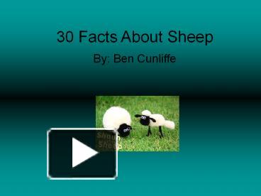 30 Facts About Sheep presentation | free to download