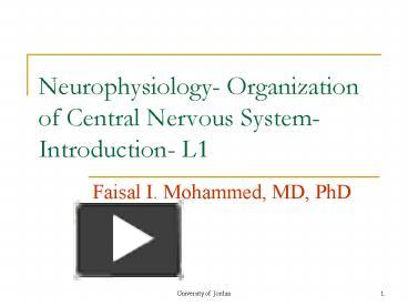 PPT – Neurophysiology- Organization of Central Nervous System ...