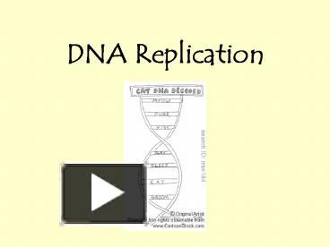 PPT – DNA Replication PowerPoint presentation | free to download - id ...