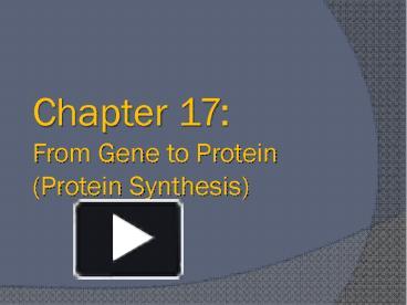 Chapter 17: From Gene to Protein (Protein Synthesis) presentation ...