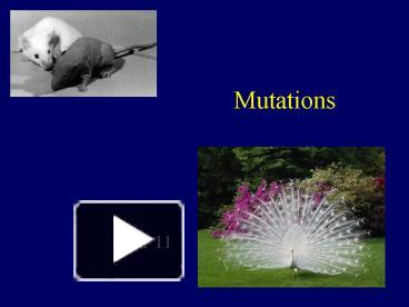 PPT – Mutations PowerPoint presentation | free to view - id: 6fde65-NTQ2M